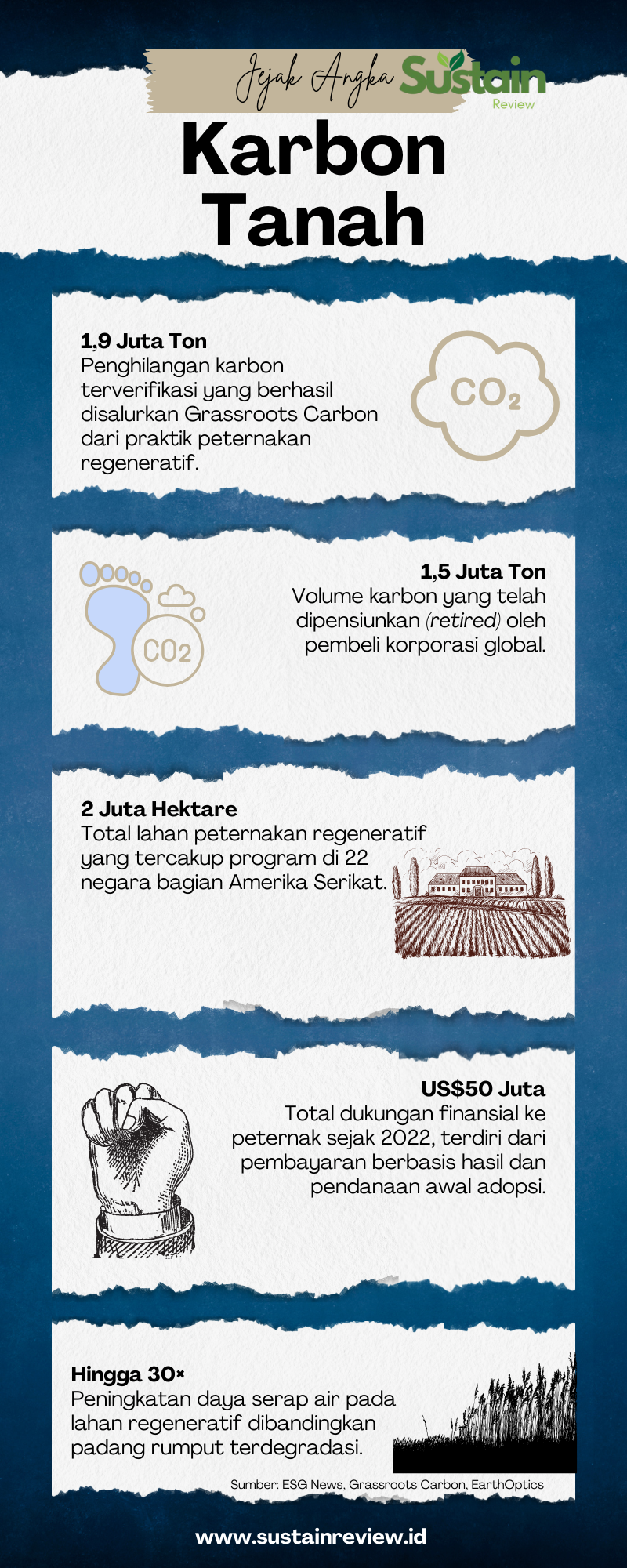 Karbon Tanah Masuk Arus Utama, Peternakan Regeneratif Uji Kredibilitas ...